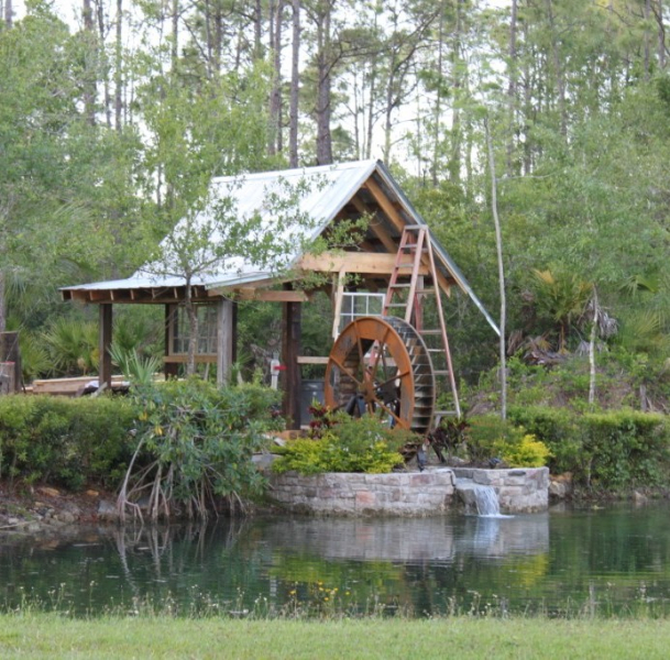 Cracker Shack | Dead Pecker Studios | Check out "Wango Tango"Check out ...